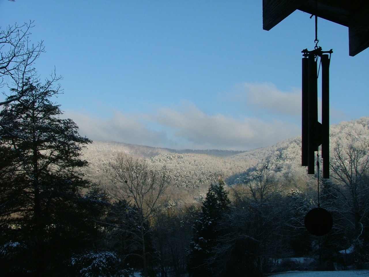 How the day started – Lions Mane