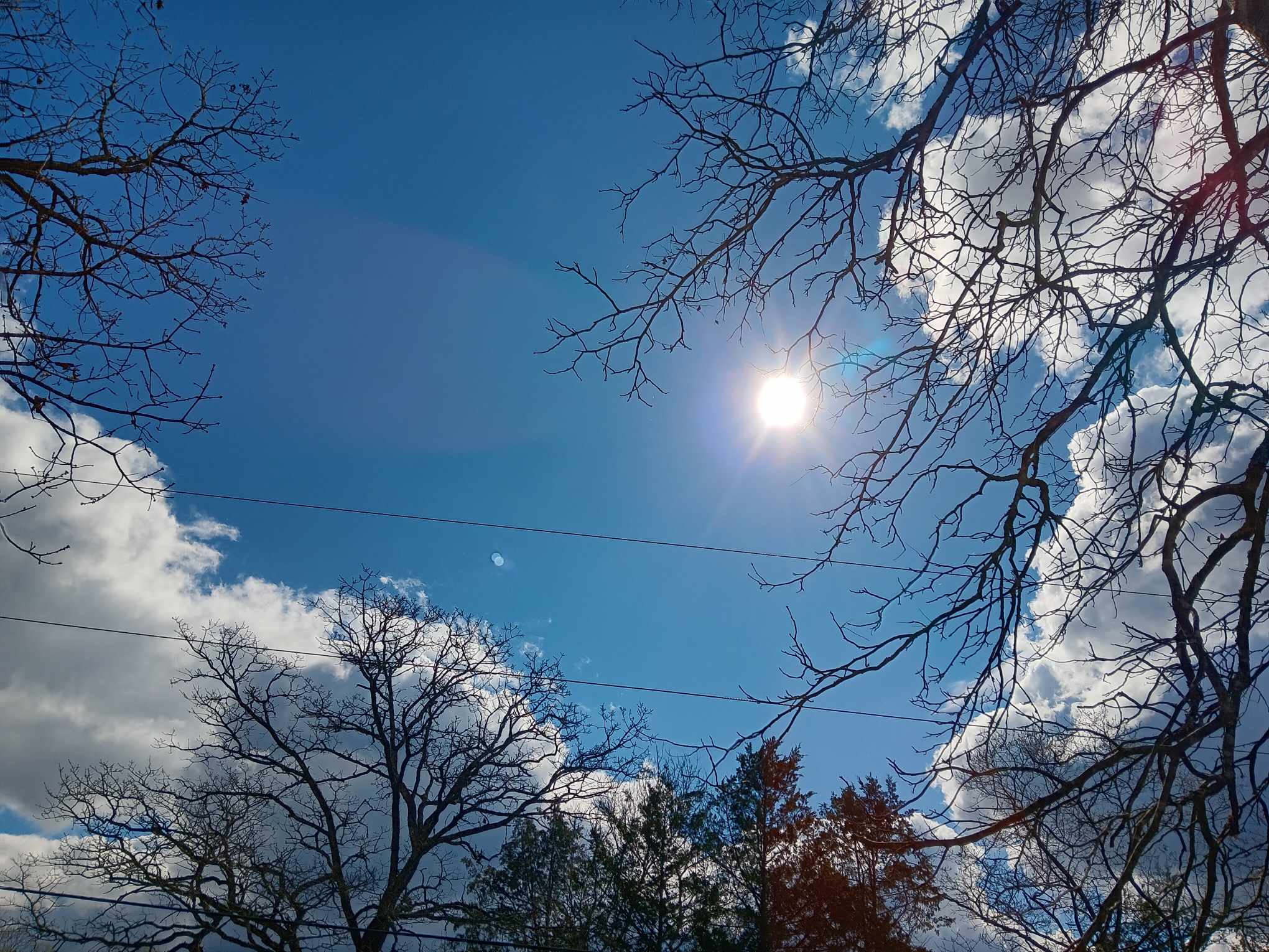 Be a Candle – Lions Mane